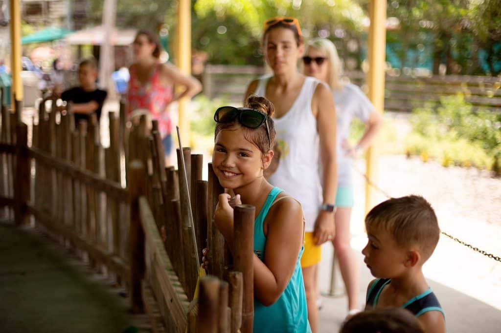 Découvrez le Zoo de Thoiry : un univers animalier unique